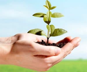 Processes – Mavitec Environmental